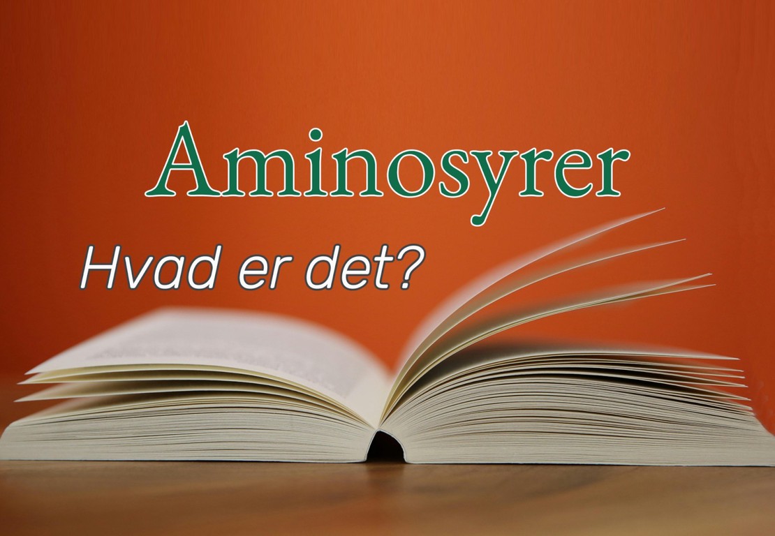 Aminosyrer